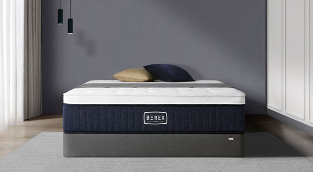 코웨이 BEREX | coway